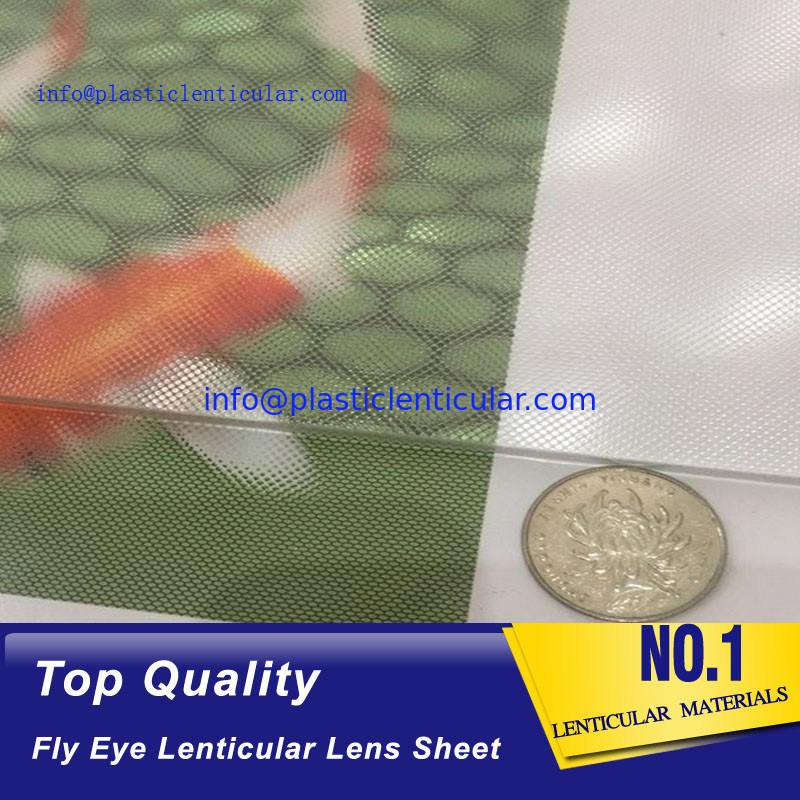 PLASTIC LENTICULAR 17 lpi 3d fly eye lenticulars lens sheet PS dot ...