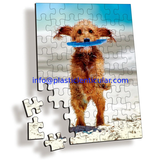 PLASTIC LENTICULAR cheap kids toy plastic 3d puzzle pp pet customized ...