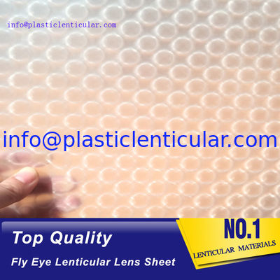 Fly Eye Lenticular Lens Sheets on sales - Quality Fly Eye 3D Lenticular ...