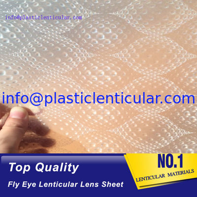Fly Eye Lenticular Lens Sheets on sales - Quality Fly Eye 3D Lenticular ...