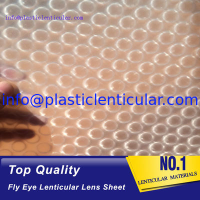Fly Eye Lenticular Lens Sheets on sales - Quality Fly Eye 3D Lenticular ...