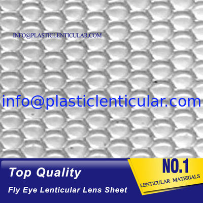 Fly Eye Lenticular Lens Sheets on sales - Quality Fly Eye 3D Lenticular ...