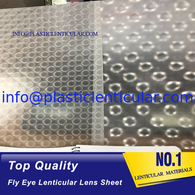 Fly Eye Lenticular Lens Sheets on sales - Quality Fly Eye 3D Lenticular ...