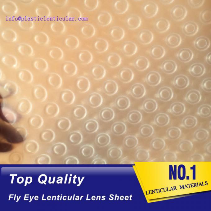 PLASTIC LENTICULAR fly eye 3d lenticular lens sheet materical with 3d ...