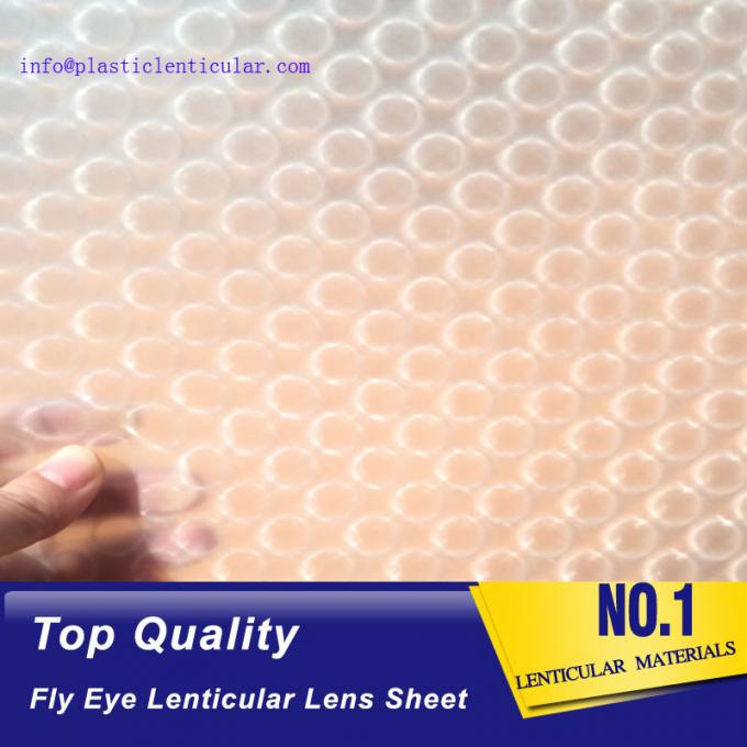 PLASTIC LENTICULAR fly eye lens microlens film sheet 3d plastic ...