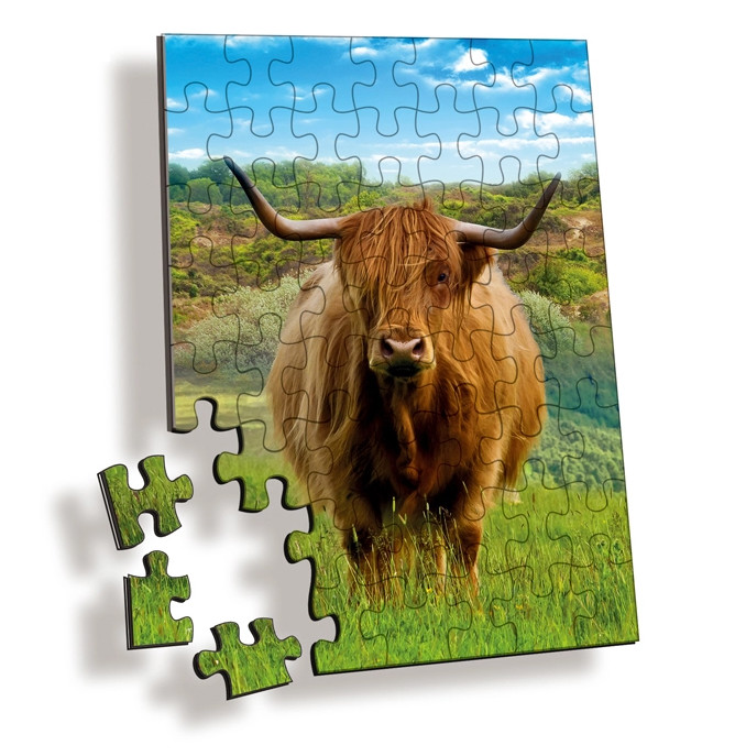 PLASTIC LENTICULAR cheap kids toy plastic 3d puzzle pp pet customized ...